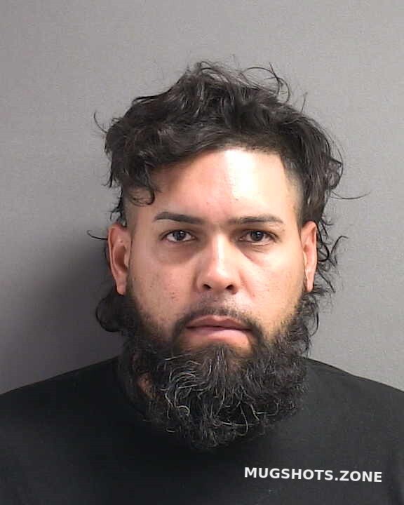 IRIZARRY ELMER LUIS 06/09/2024 - Volusia County Mugshots Zone