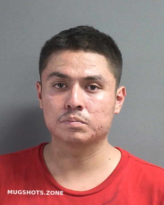 RAMIREZ ALEX RENE 06/10/2024 - Volusia County Mugshots Zone