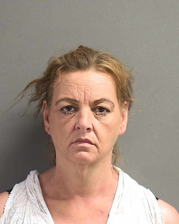 PATTERSON MICHELLE MARIE 06/11/2024 - Volusia County Mugshots Zone