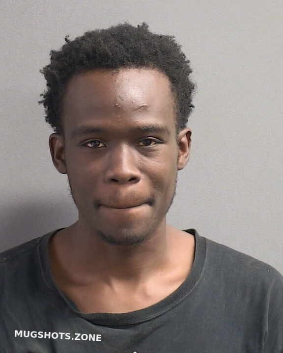 FENTON KENEIL LOUIS 06/13/2024 - Volusia County Mugshots Zone