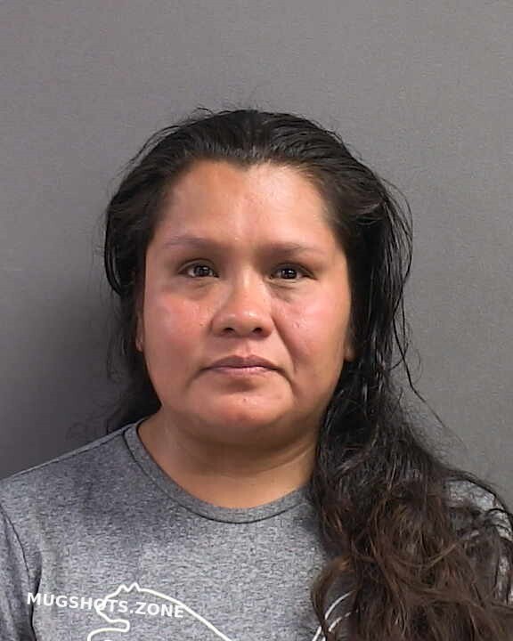 ALTAMIRANO CASTRO MA DEL CARMEN 06/17/2024 - Volusia County Mugshots Zone