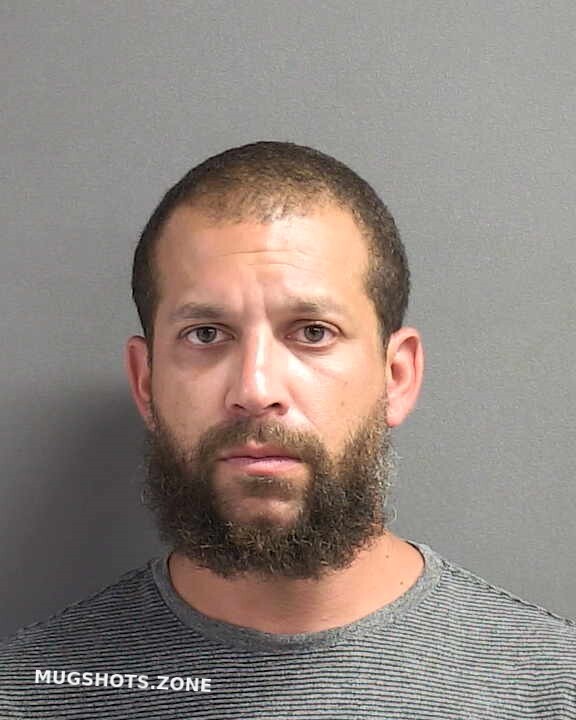 NAPIER ROBERT CHANNING 06/17/2024 - Volusia County Mugshots Zone