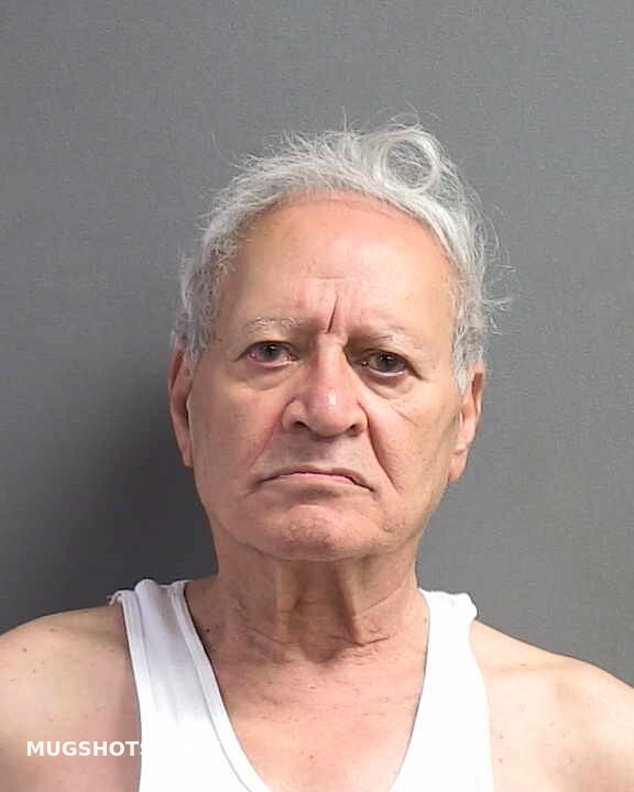 MINA ALBERT KARAM 06/23/2024 - Volusia County Mugshots Zone