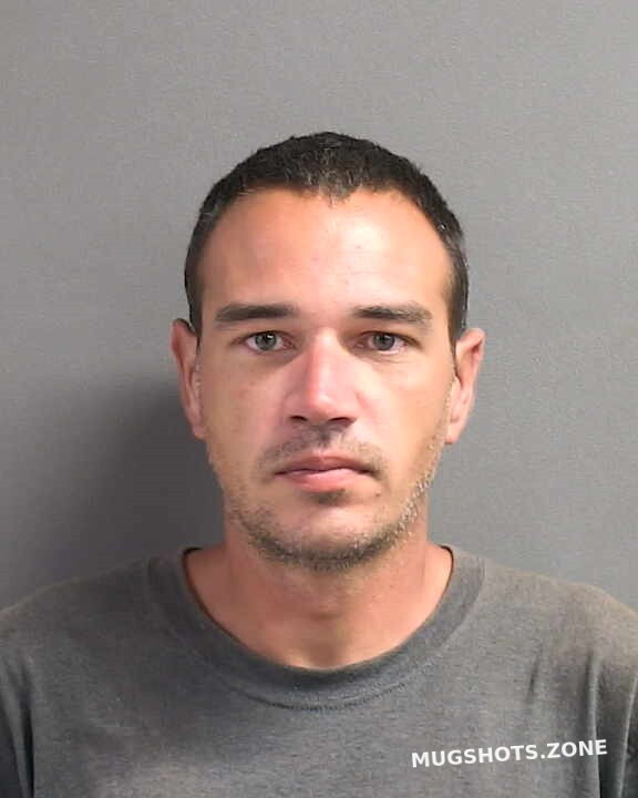 TYREE STEVEN BRIAN 07/07/2024 - Volusia County Mugshots Zone