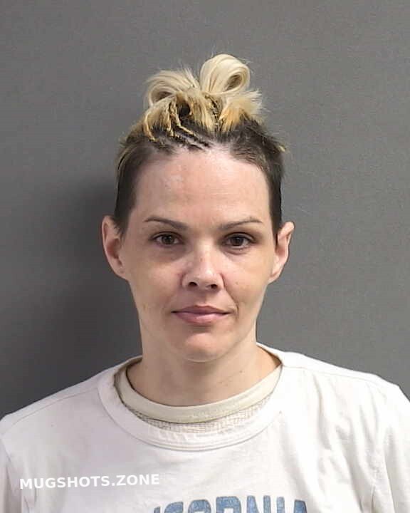 ANDERSON ASHLEY DAWN 07/24/2024 - Volusia County Mugshots Zone