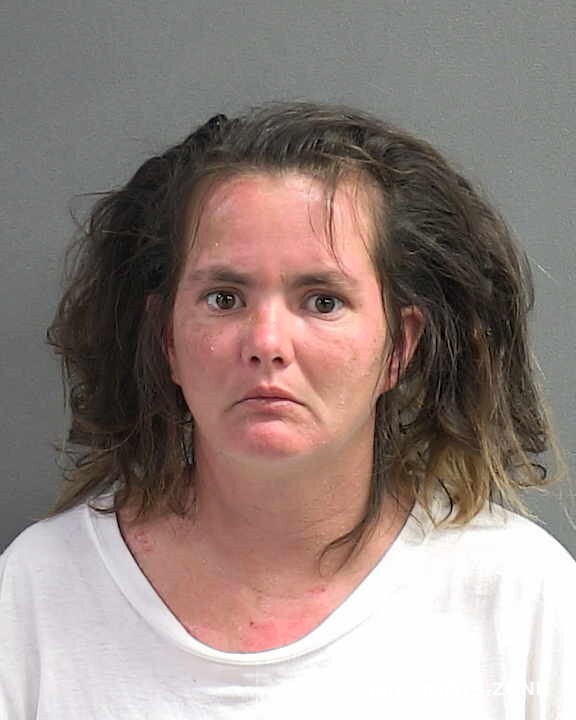 MACLEAN TONI M 07/24/2024 - Volusia County Mugshots Zone