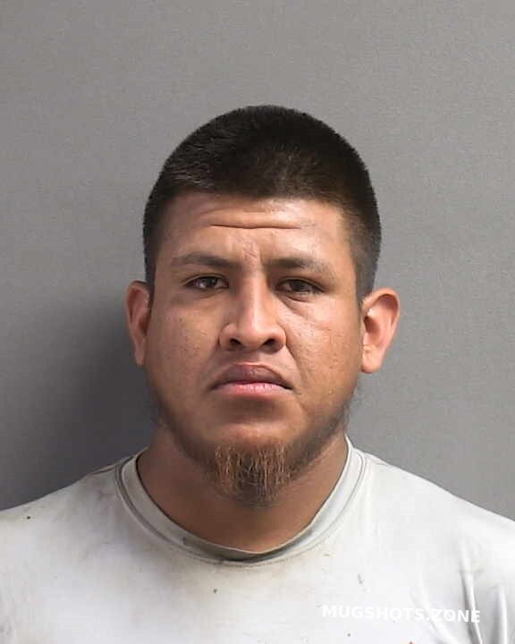 HERNANDEZ MONCAYO LUIS DIEGO 07/26/2024 - Volusia County Mugshots Zone