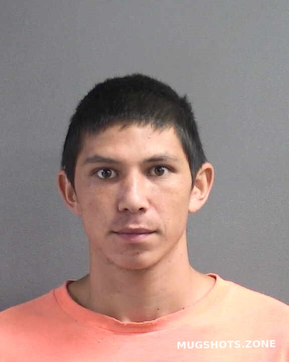 CATRAMBONE BLAISE JOHN 08/08/2024 - Volusia County Mugshots Zone