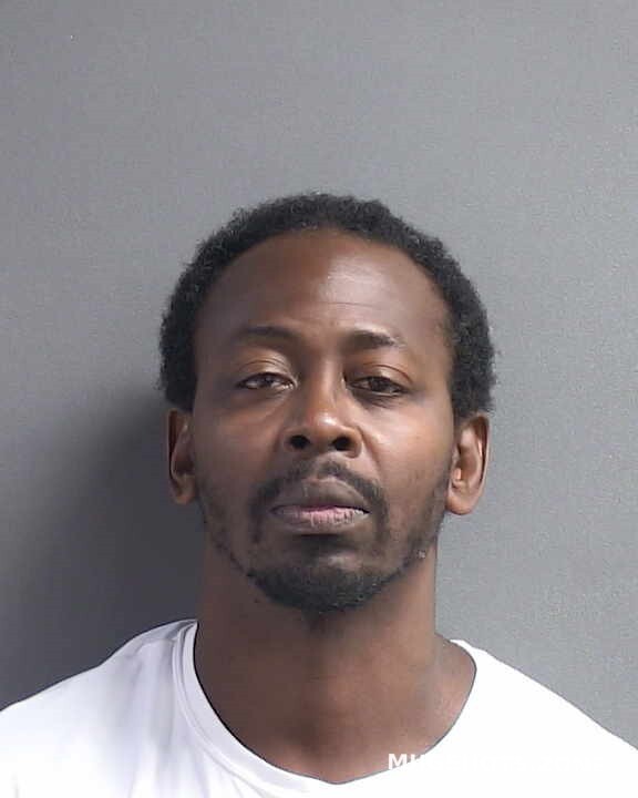 PETERSON MALCOLM NELVILLE 08/08/2024 - Volusia County Mugshots Zone