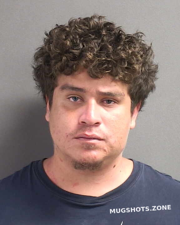 CRUZ SERRANO DERECK ANTHONY 08/09/2024 - Volusia County Mugshots Zone
