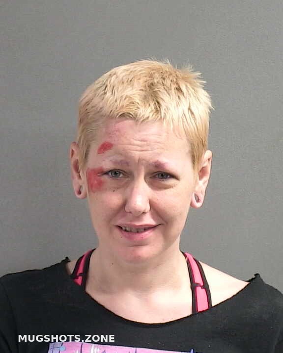 RENO NICHOLE N 08/13/2024 - Volusia County Mugshots Zone