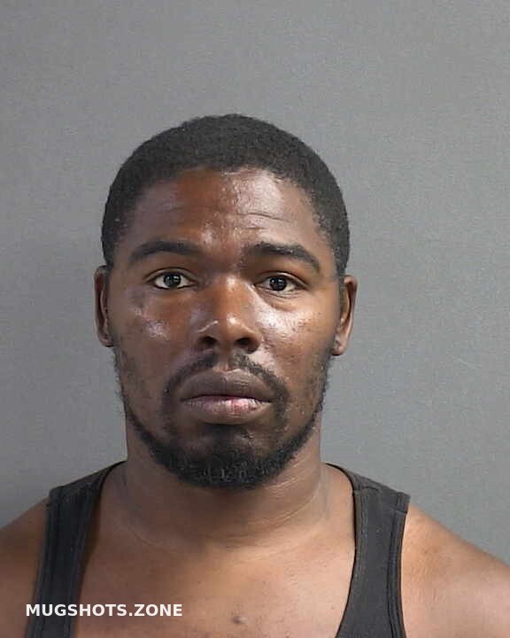ANDERSON LAWRENCE L 08/15/2024 - Volusia County Mugshots Zone