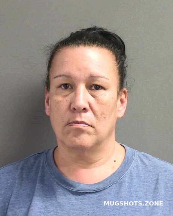 RAMEY SUSAN A 08/17/2024 - Volusia County Mugshots Zone