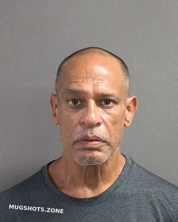 QUILES NELSON 08/17/2024 - Volusia County Mugshots Zone