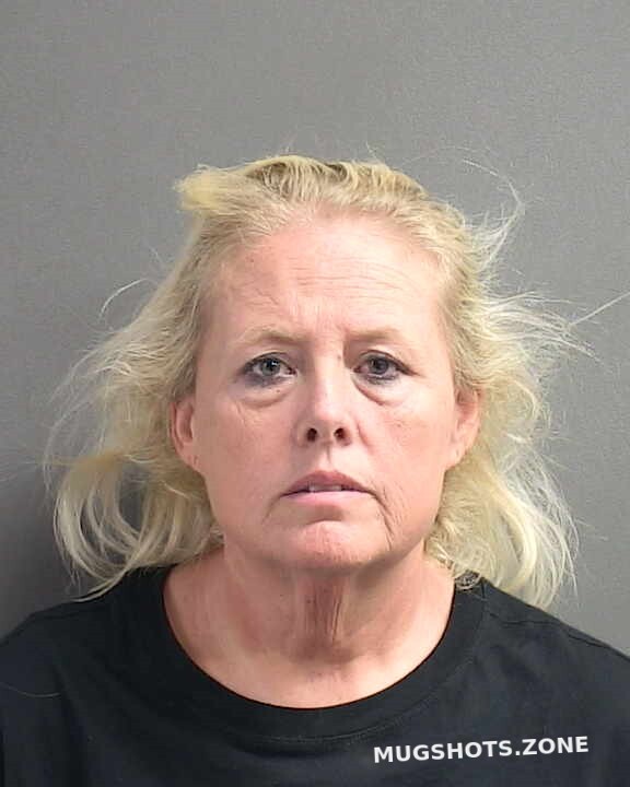 MARTIN TAMI SUE 08/24/2024 - Volusia County Mugshots Zone