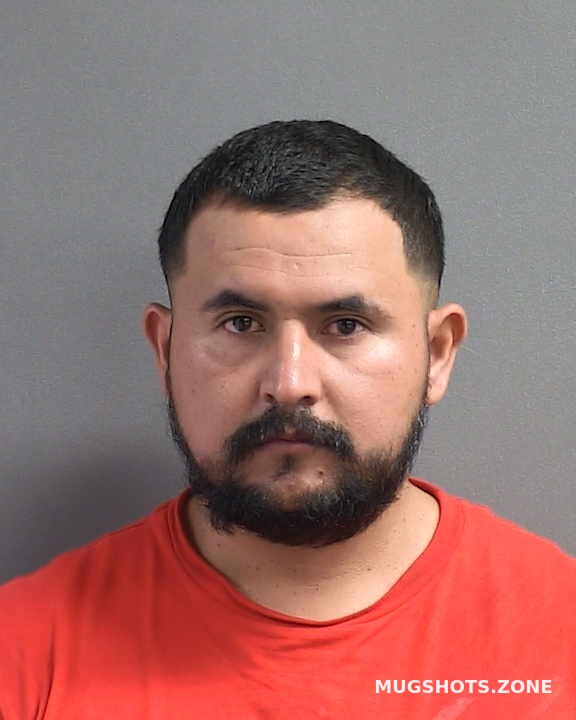BOTELLO KEVIN 08/25/2024 - Volusia County Mugshots Zone
