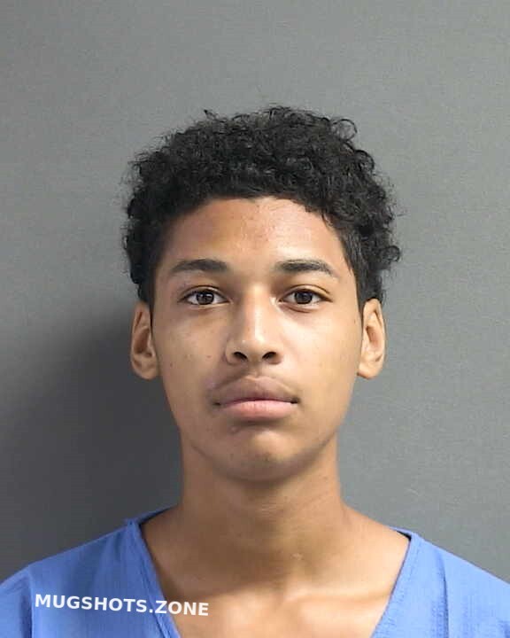 ADAMS DOMINICK TYLER 09/03/2024 - Volusia County Mugshots Zone