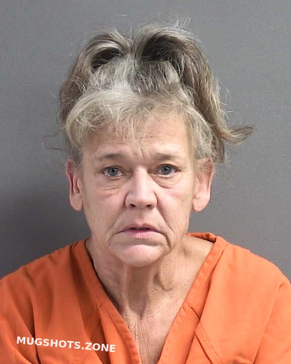 SKIDMOREKNOWLES ROBIN ANNETTE 09/13/2024 - Volusia County Mugshots Zone