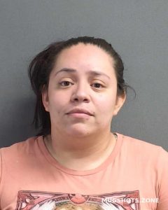 MEJIA ARGUETA EBLIN DANIELA 09/14/2024 - Volusia County Mugshots Zone