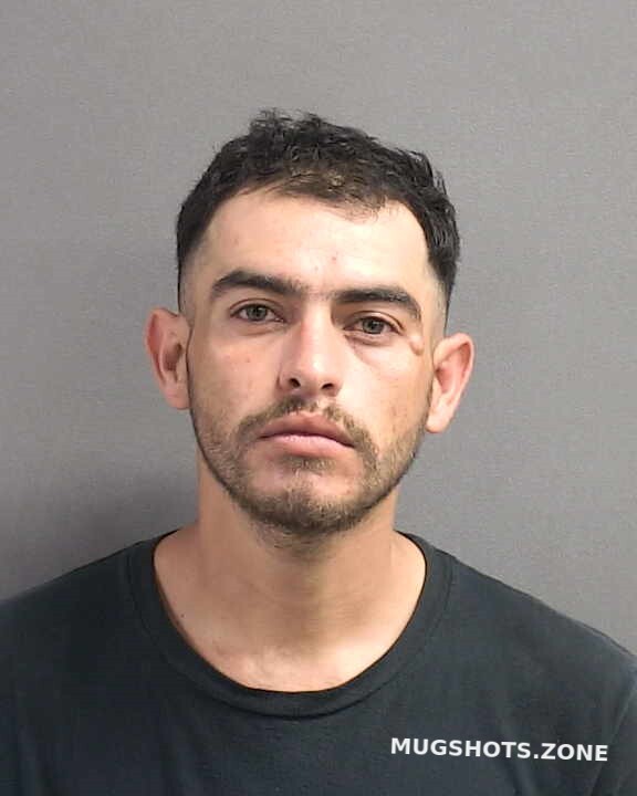 ALCAYA SILVA JOSE DANIEL 09/22/2024 - Volusia County Mugshots Zone