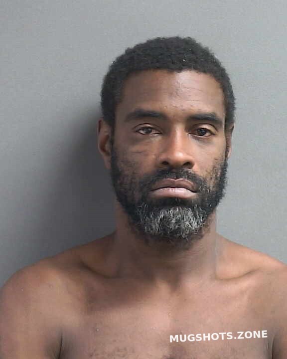 DAVIS RYAN PARNELL 09/23/2024 - Volusia County Mugshots Zone