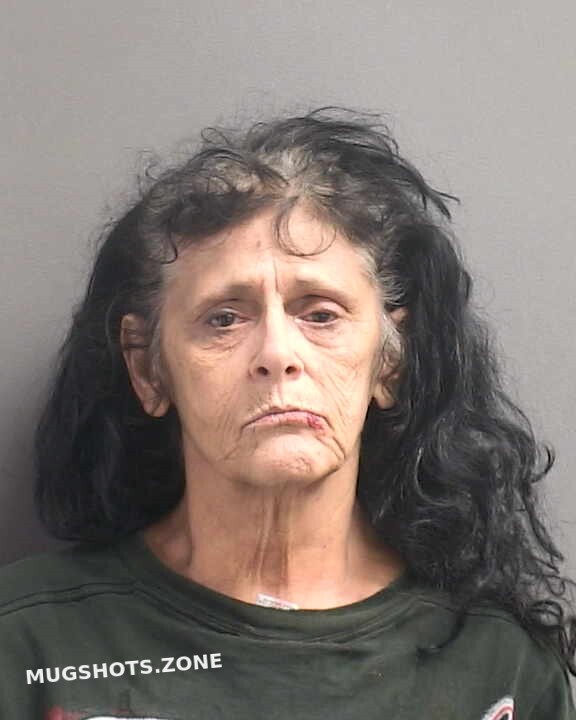RIGGINS BARBARA ANN 10/07/2024 - Volusia County Mugshots Zone