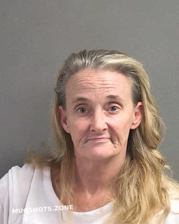 Hendrickson Lee Anne 10 19 2024 Volusia County Mugshots Zone