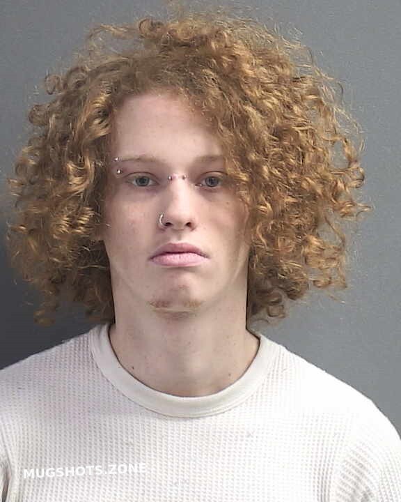 REID CARSON THOMAS 10/22/2024 - Volusia County Mugshots Zone