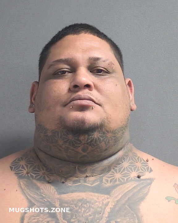 RODRIGUEZ RAMOS RAYMOND 10/29/2024 - Volusia County Mugshots Zone