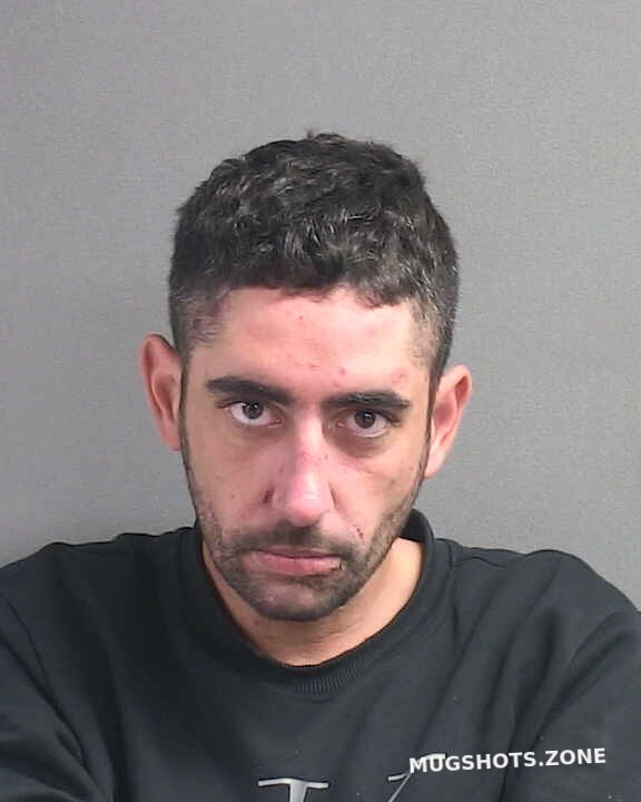 TESTA MICHAEL S 11/13/2024 - Volusia County Mugshots Zone