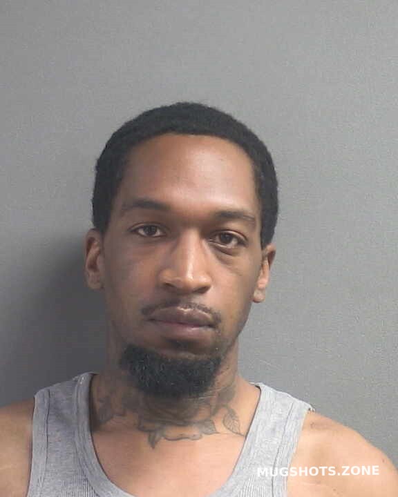 JOHNSON DREON EMIL 11/16/2024 - Volusia County Mugshots Zone
