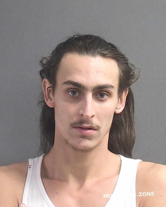 VILE BRUCE R 11/21/2024 - Volusia County Mugshots Zone