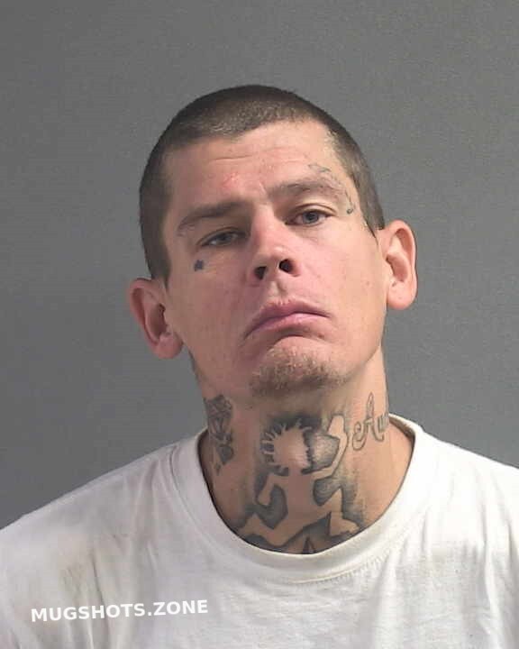 REED JOSHUA A 11/25/2024 - Volusia County Mugshots Zone