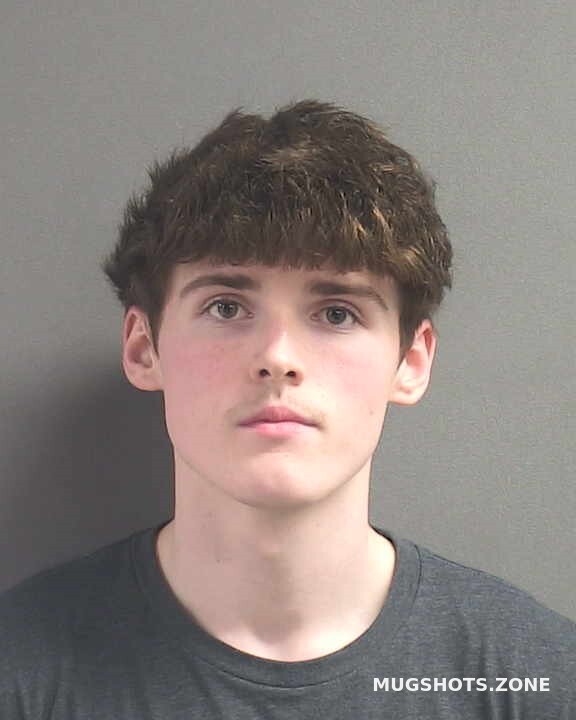 MCALEAZEY JACOB DAVID 11/27/2024 - Volusia County Mugshots Zone