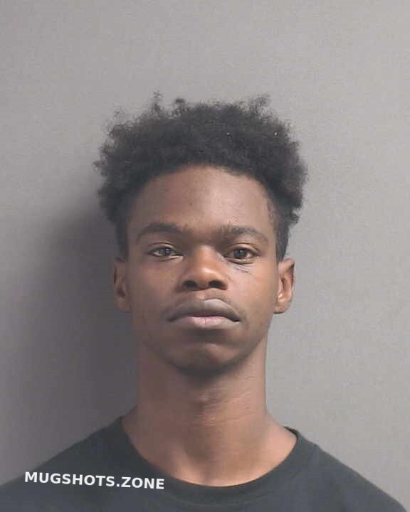 FLOURNOY TAVARIS BRANDON 11/29/2024 - Volusia County Mugshots Zone