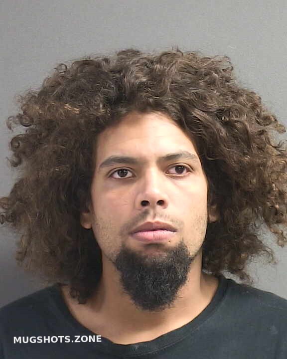 HAMILTON IAN JOSEPH 01/01/2025 - Volusia County Mugshots Zone