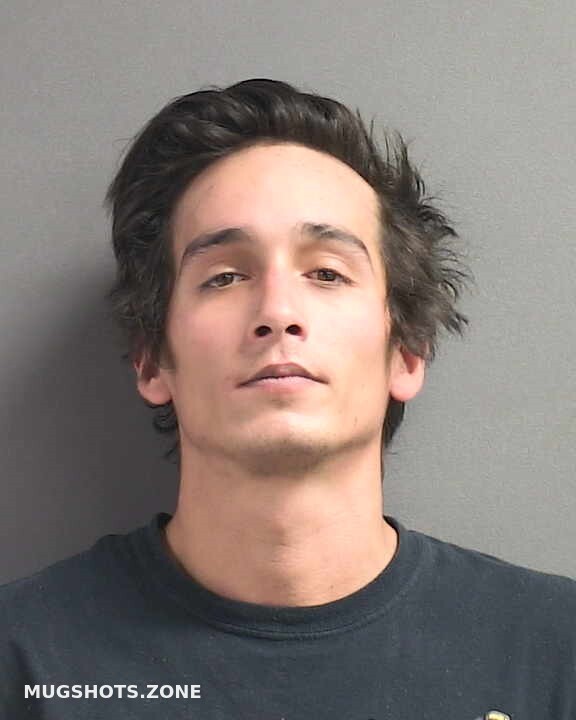 SCHMIDT SIEGMUND ERWIN 01/07/2025 - Volusia County Mugshots Zone