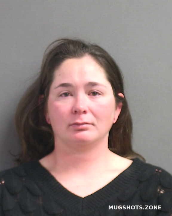 SQUIRES SHANNON RENE 01/18/2025 - Volusia County Mugshots Zone