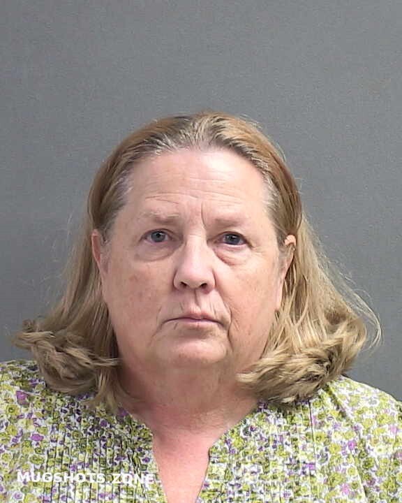 NOVAK SHARON ANN 01/19/2025 - Volusia County Mugshots Zone