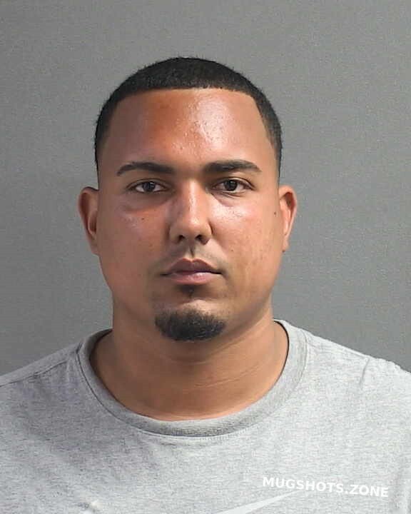FREIJOMIL ANDRO BELTRE 02/05/2025 - Volusia County Mugshots Zone