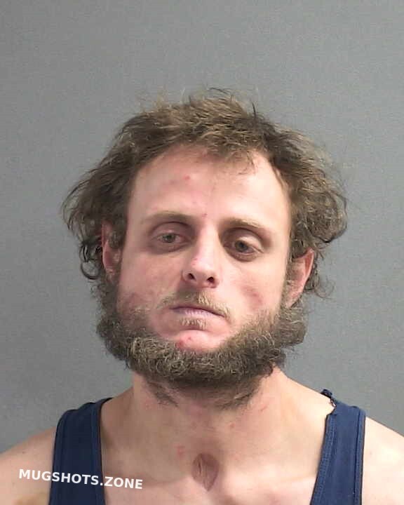 STIDD RONALD 03/08/2025 - Volusia County Mugshots Zone