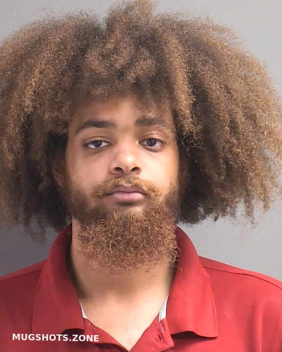 DICKERSON ALEXANDER TREMANE 03/12/2025 - Volusia County Mugshots Zone