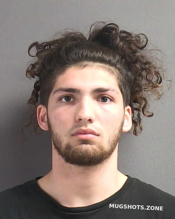 WERKING TROY ALLAN 03/20/2025 - Volusia County Mugshots Zone