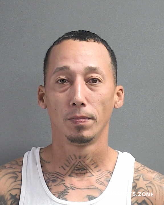 DENIZAC RALPHIN CARMENATTY 04/18/2025 - Volusia County Mugshots Zone