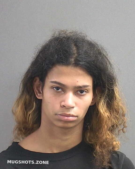 RIPPY KELSEY M 06/04/2025 - Volusia County Mugshots Zone