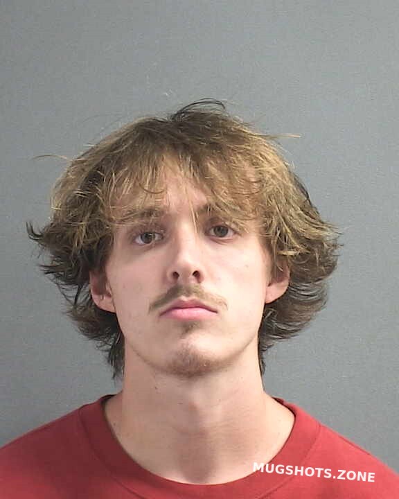 BORK TYLER JAMES 06/13/2025 - Volusia County Mugshots Zone
