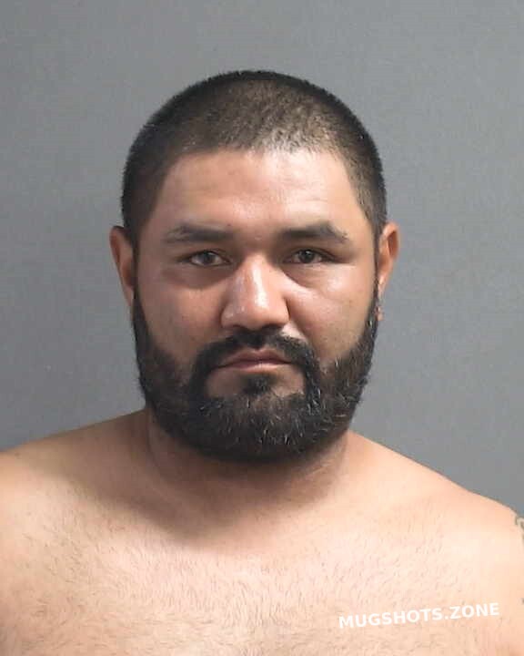 RICO CASTILLO YOBANY 06/16/2025 - Volusia County Mugshots Zone