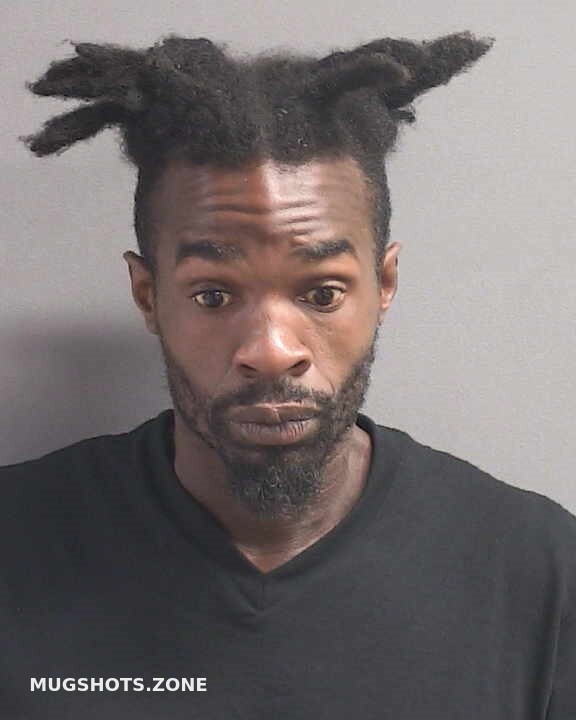 JAMES LOUIS 06/26/2025 - Volusia County Mugshots Zone