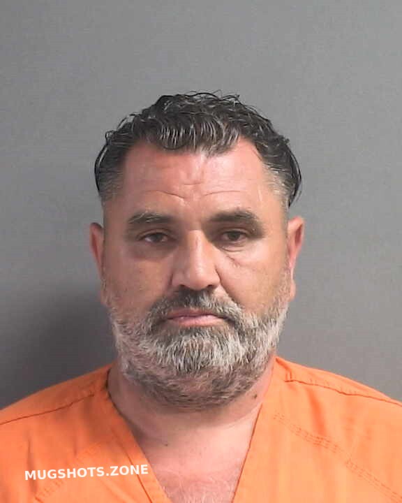ISTRATE OCTAVIAN 07/16/2025 - Volusia County Mugshots Zone