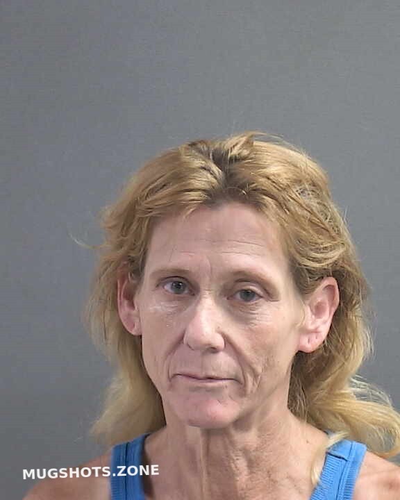STEPPELLO TINA MARIE 07/20/2025 - Volusia County Mugshots Zone